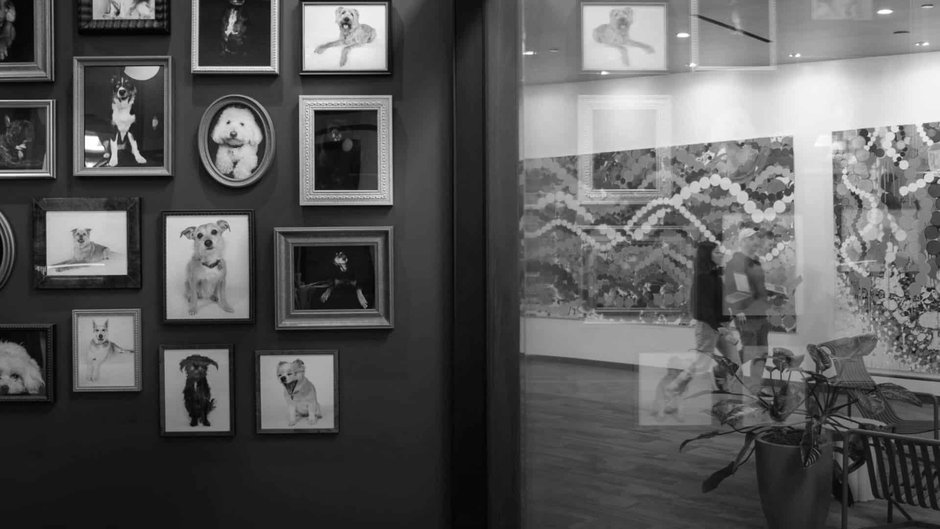 About us – Saatchi & Saatchi